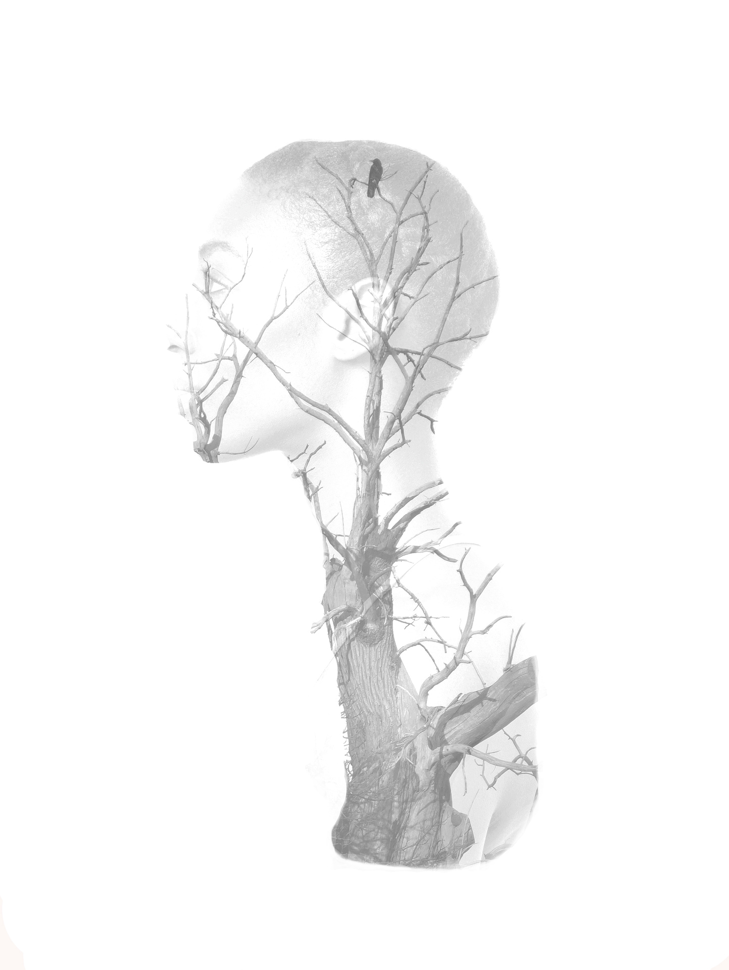 Daniela Fleckenstein