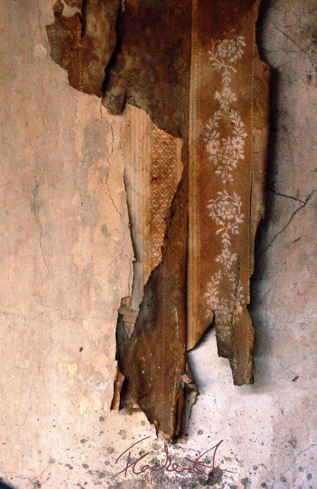 Daniela Fleckenstein