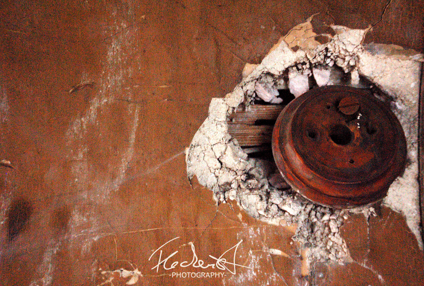 Daniela Fleckenstein