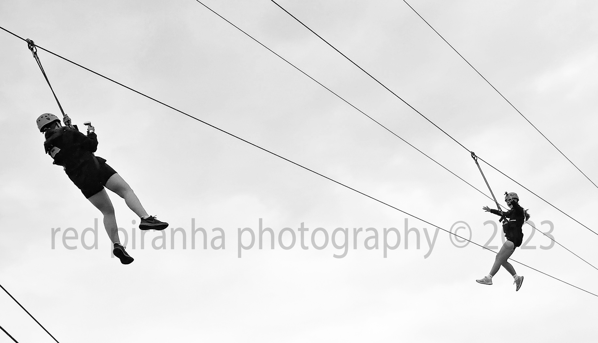 Gary Lea Photography