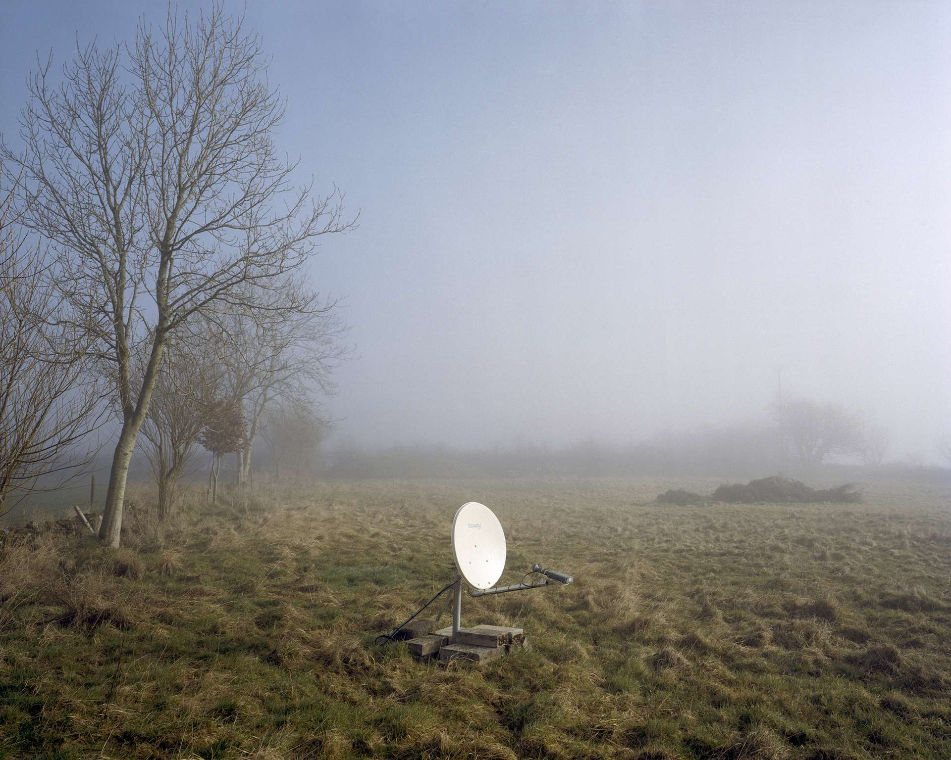 © Jesse Alexander Photography, 2023. All rights reserved.