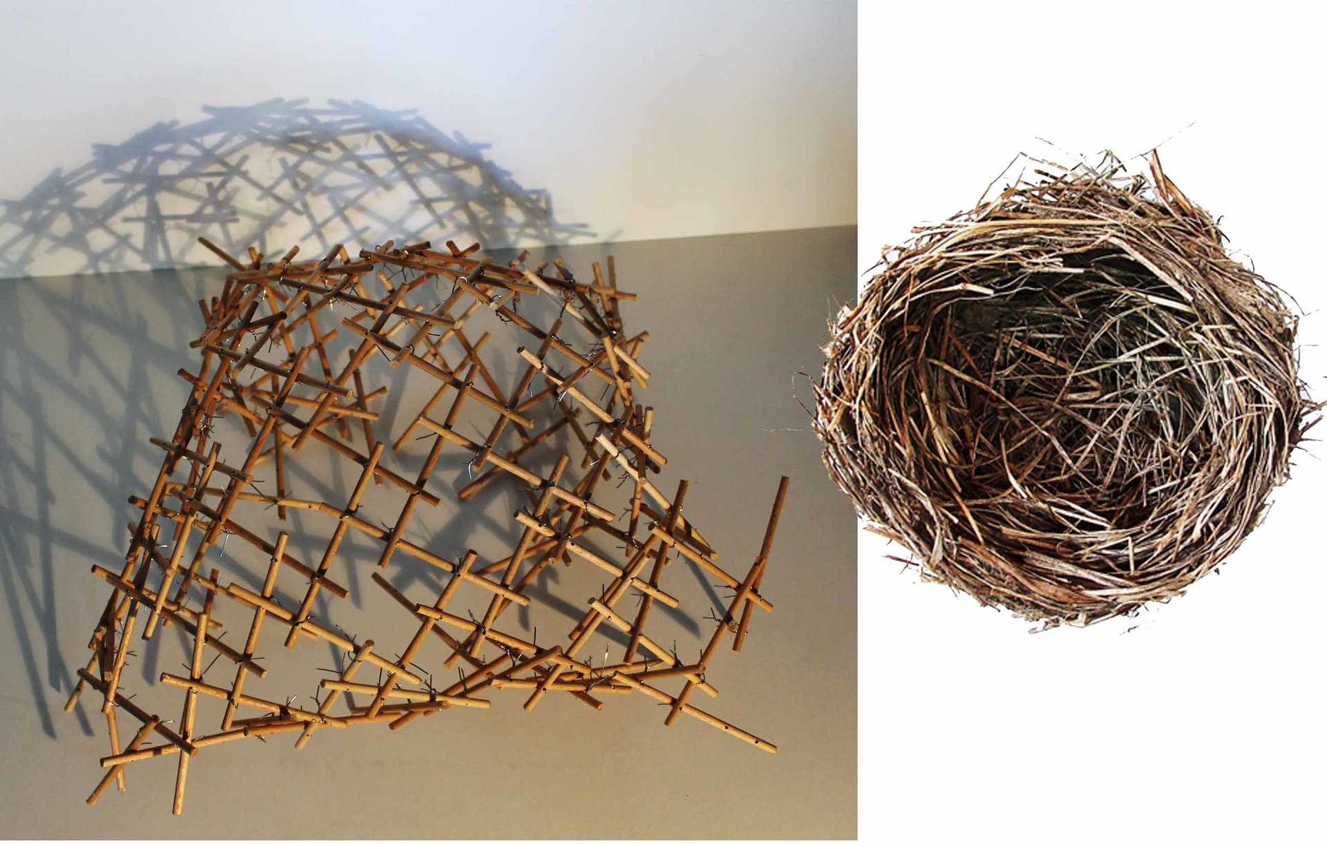 NEST PAVILION