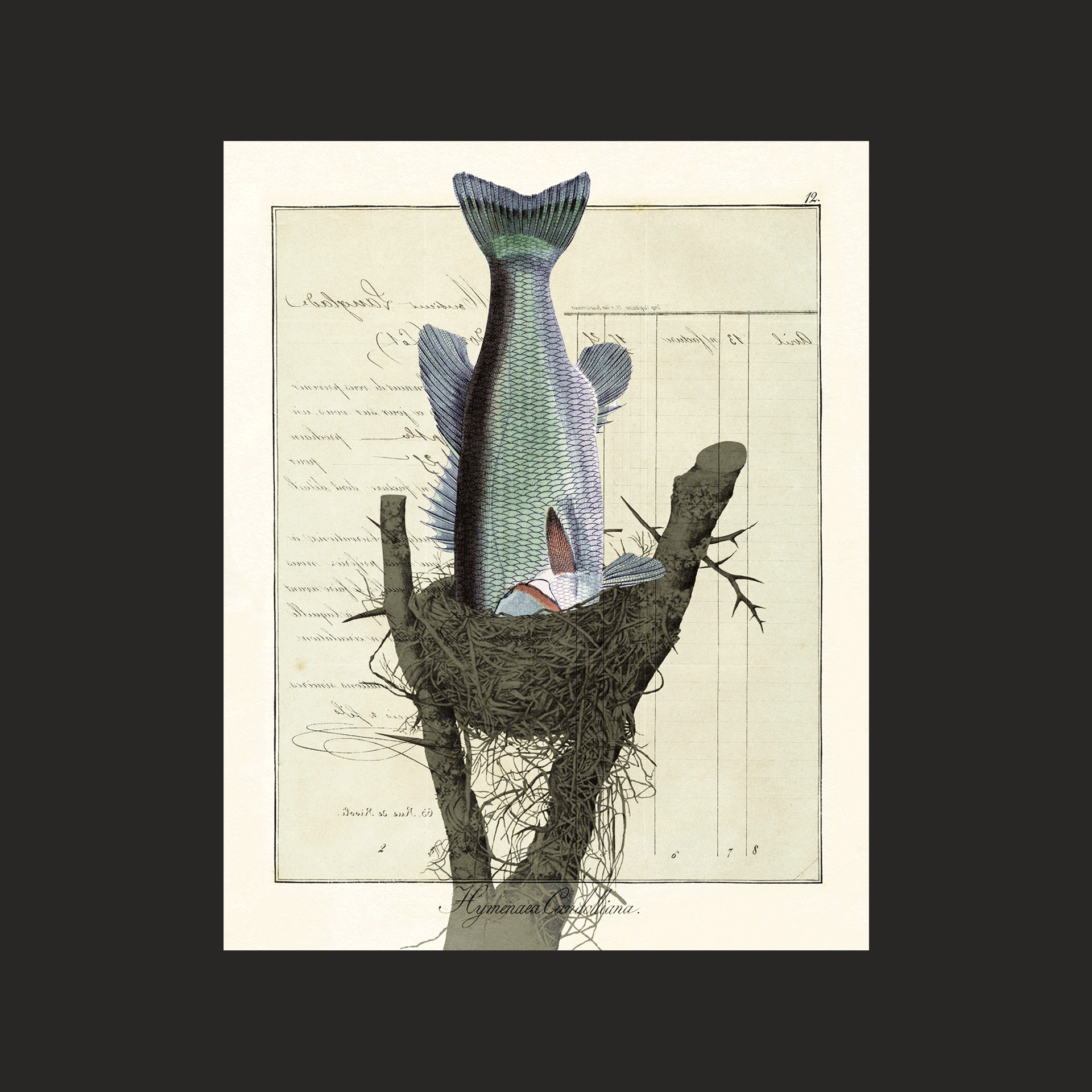 contemporary vintage