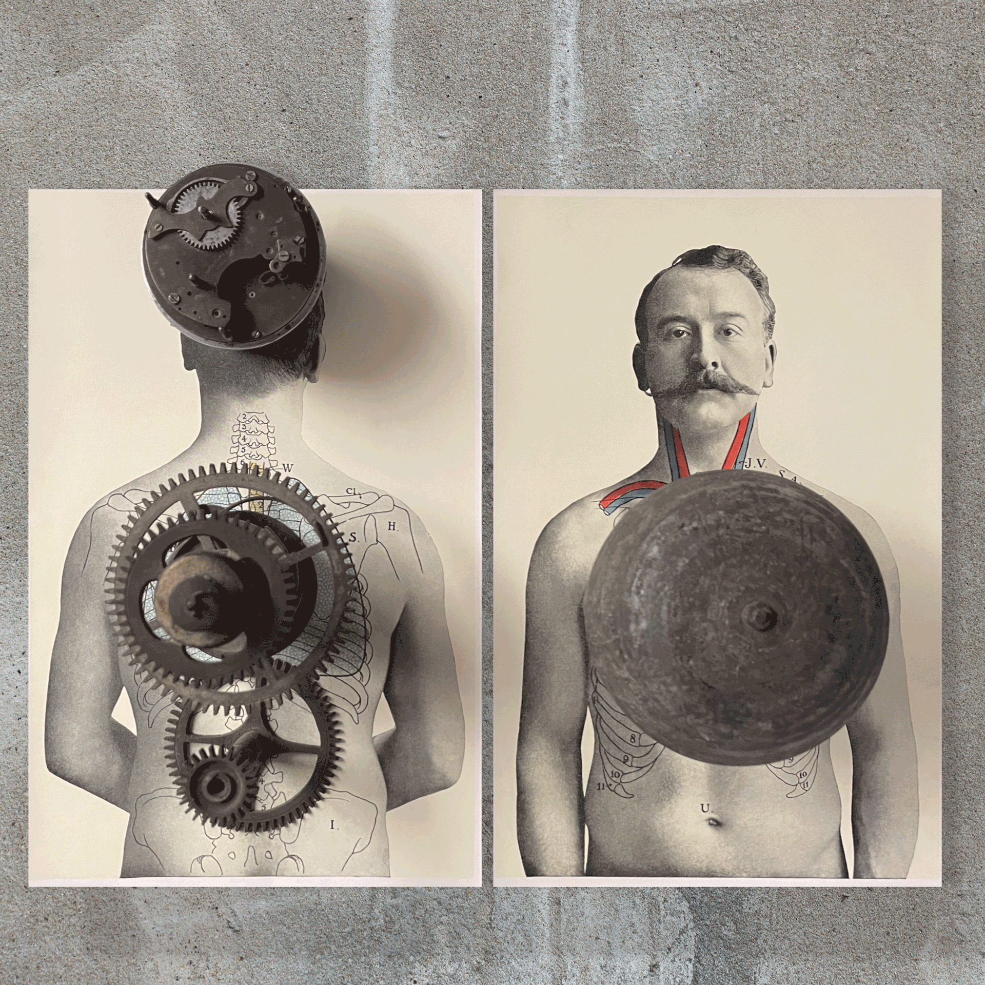 contemporary vintage